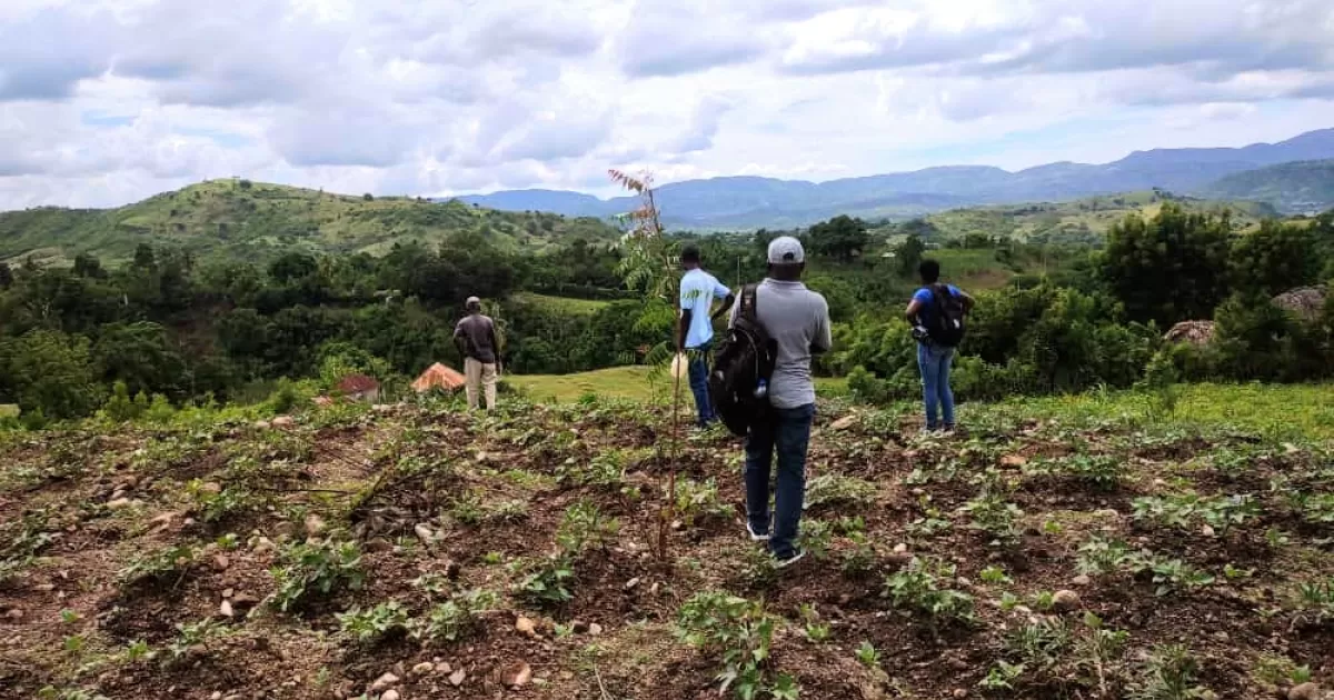 Small Scale Farming in Perspective | Quixote Center