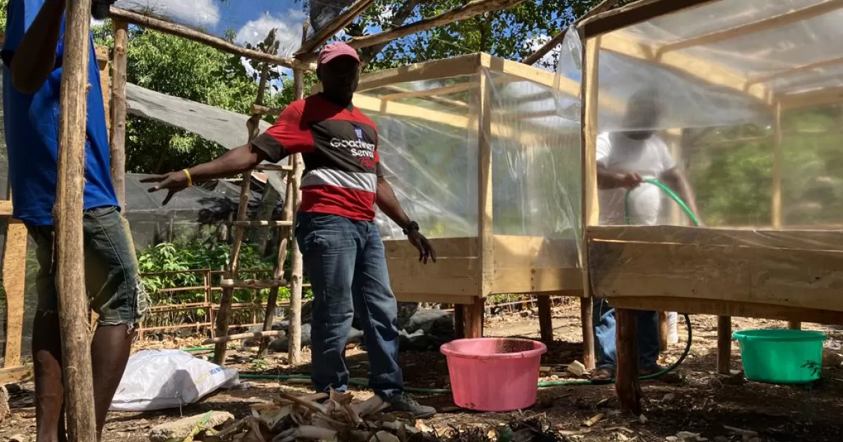 What’s the Quixote Center Doing in Haiti? | Quixote Center